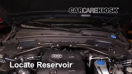 How to Add Oil Audi Q5 (2009-2017) - 2011 Audi Q5 Premium 2.0L 4 Cyl. Turbo